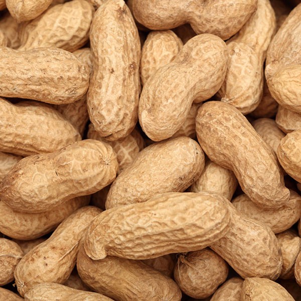 Maní Danal con cáscara x 2Kg – DISTRIBUIDORA LA FLIA